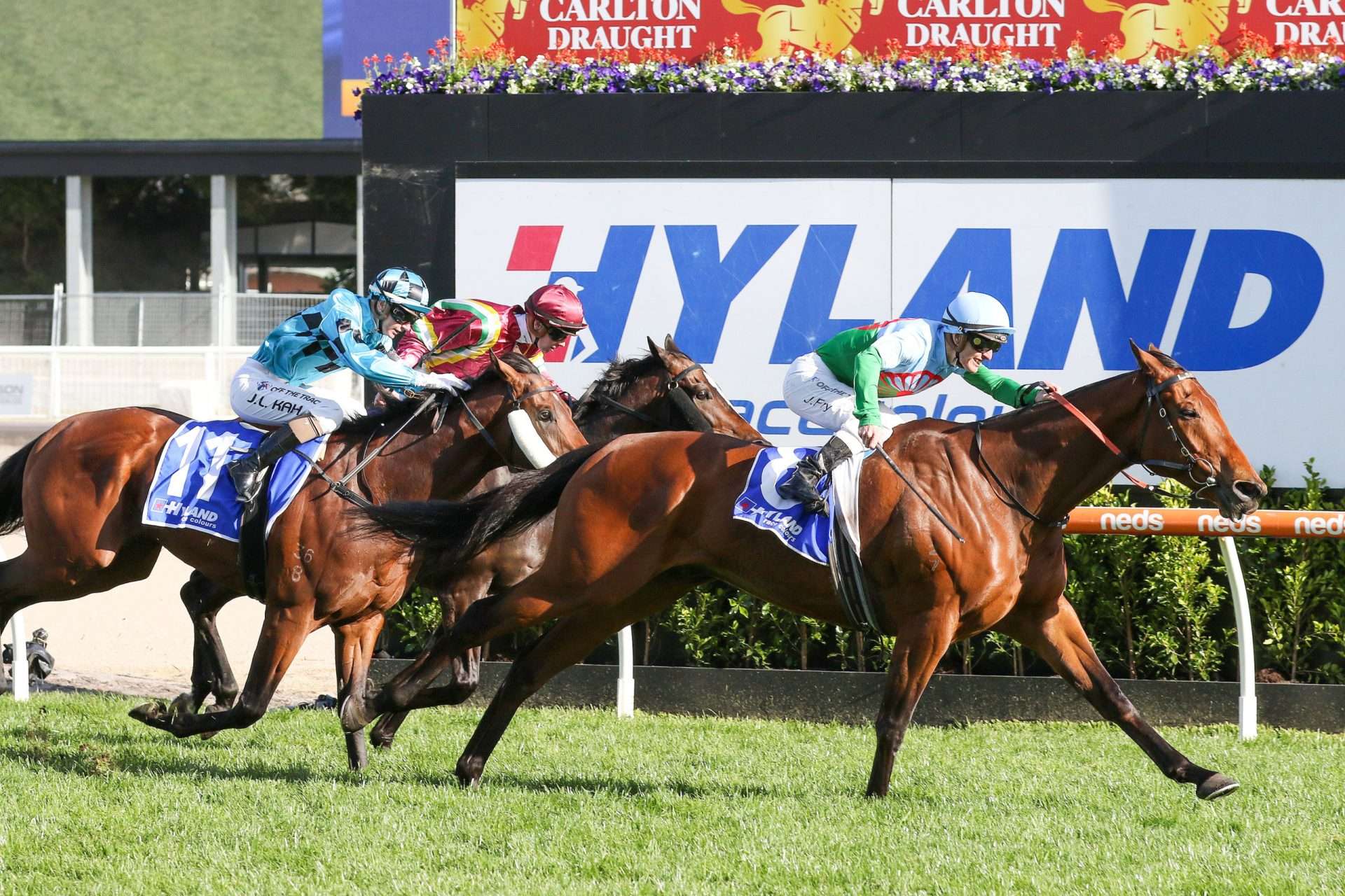 Toorak Handicap Tips, Preview and Analysis - Palmerbet Blog