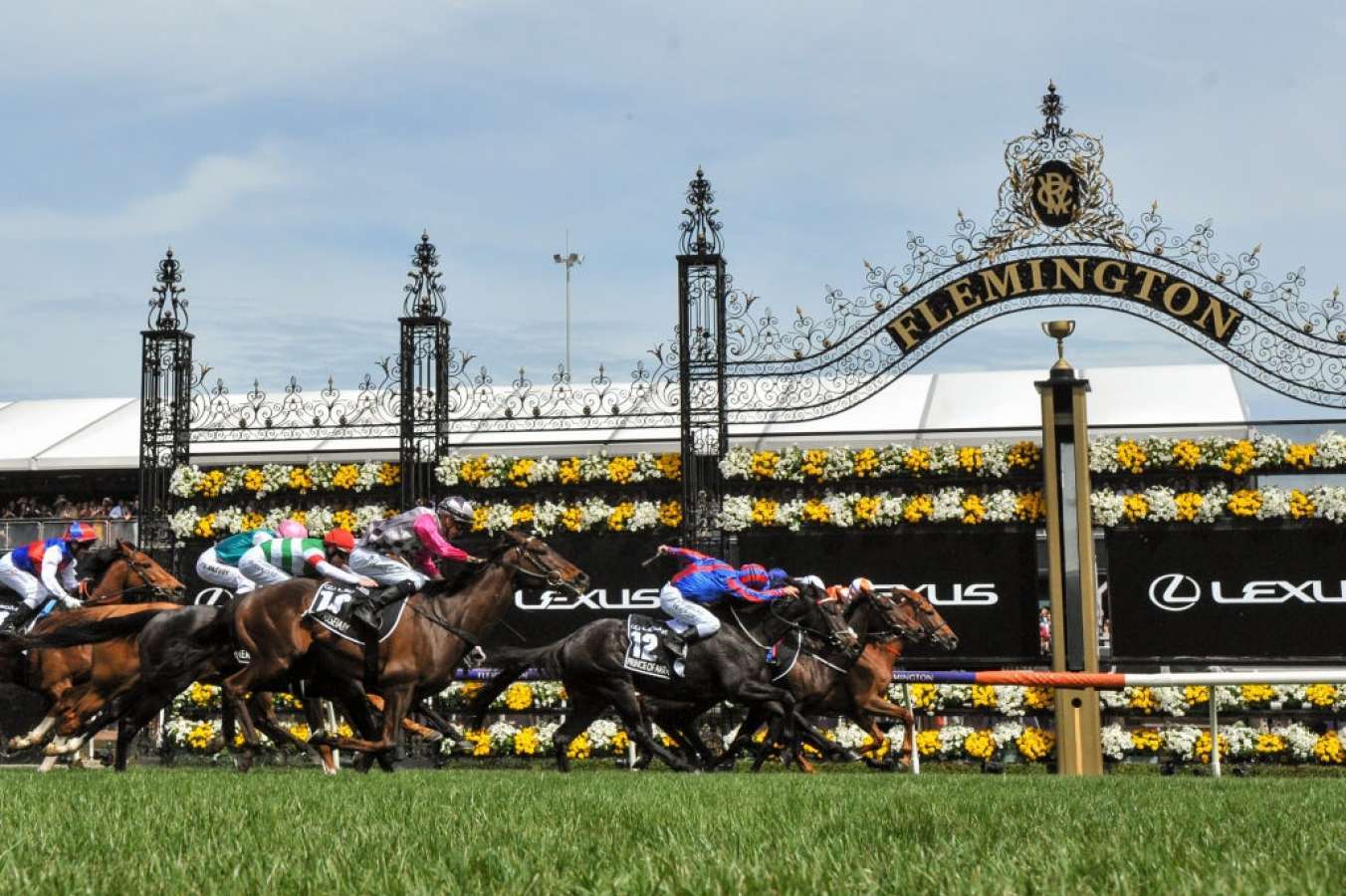 Melbourne Cup Tips, Preview and Analysis -Palmerbet Blog