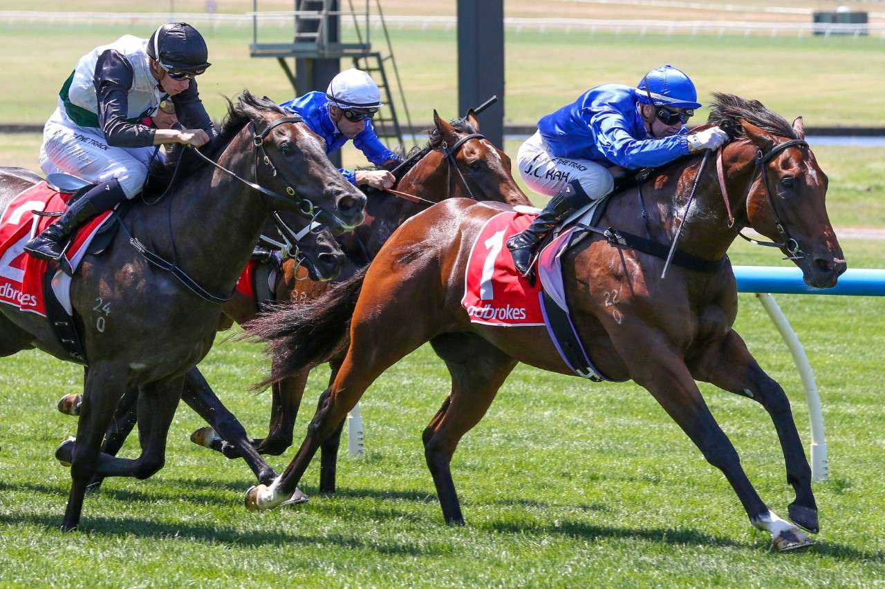 Gr 1 Blue Diamond Stakes Preview - Palmerbet Blog