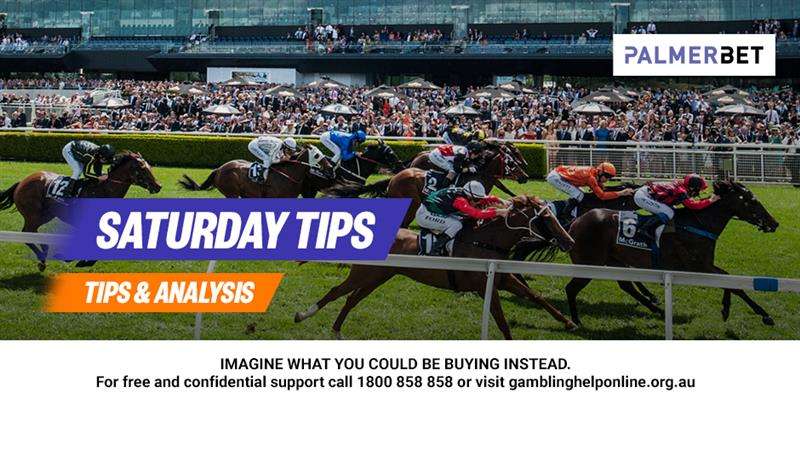Best Bets - Saturday 8th November - Palmerbet Blog