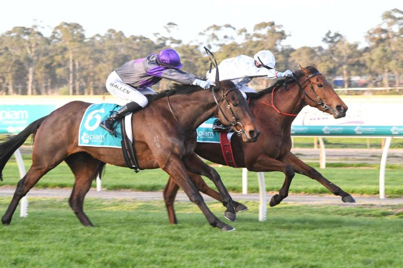 A Day At The Track - Cranbourne 22 November - Palmerbet Blog