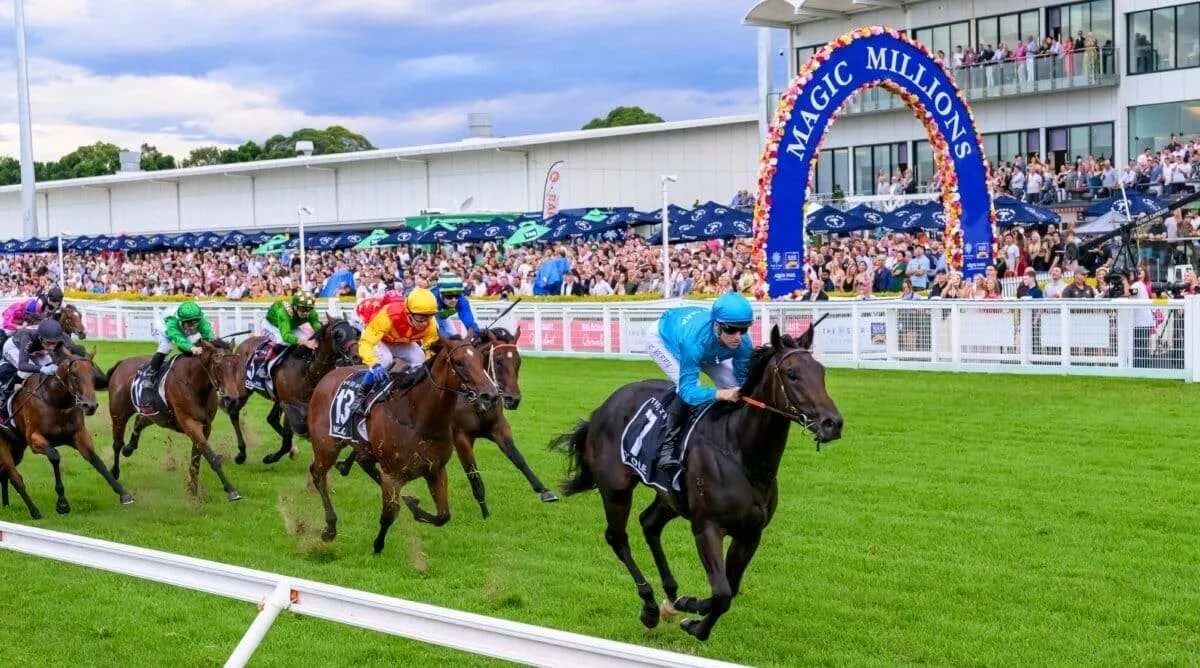 Best Bets - Saturday 17th January - Palmerbet Blog