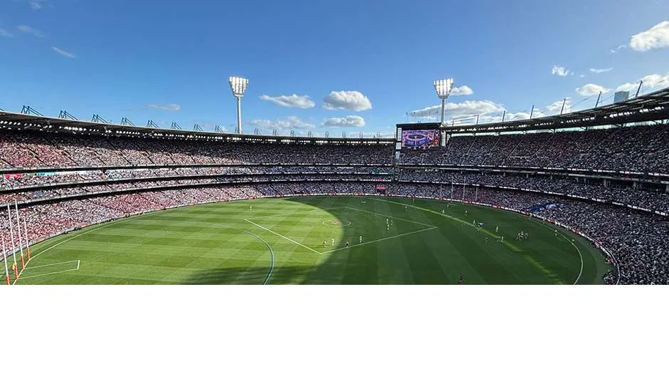 AFL Round 12 Review - Carlton upset Cats, Eagle makes case for All ...